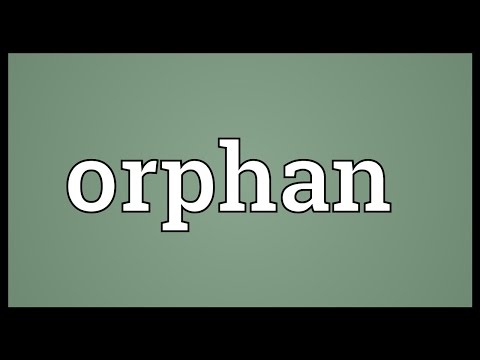 Orphan Meaning