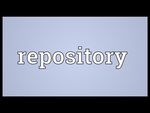 Repository Meaning