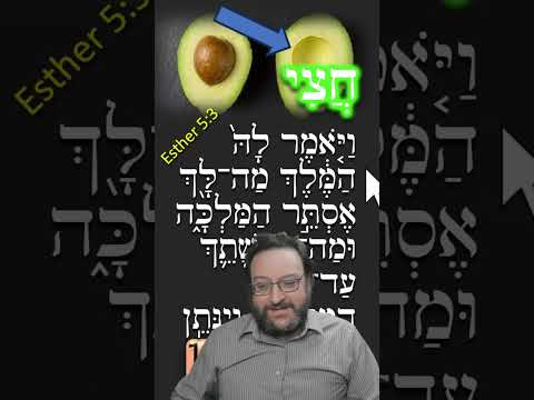 Hebrew word of the day: half חֲצִי #shorts #hebrew #vocabulary #vocabularybuilding CC (subtitles)