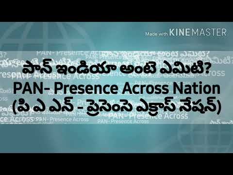 PAN India ante emiti|What is PAN India|PAN India ekkada use chestaru?