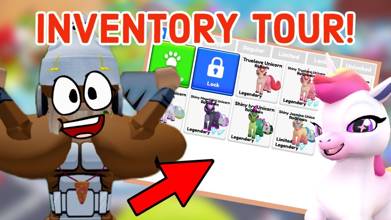 My Updated RoPets Inventory Reveal!