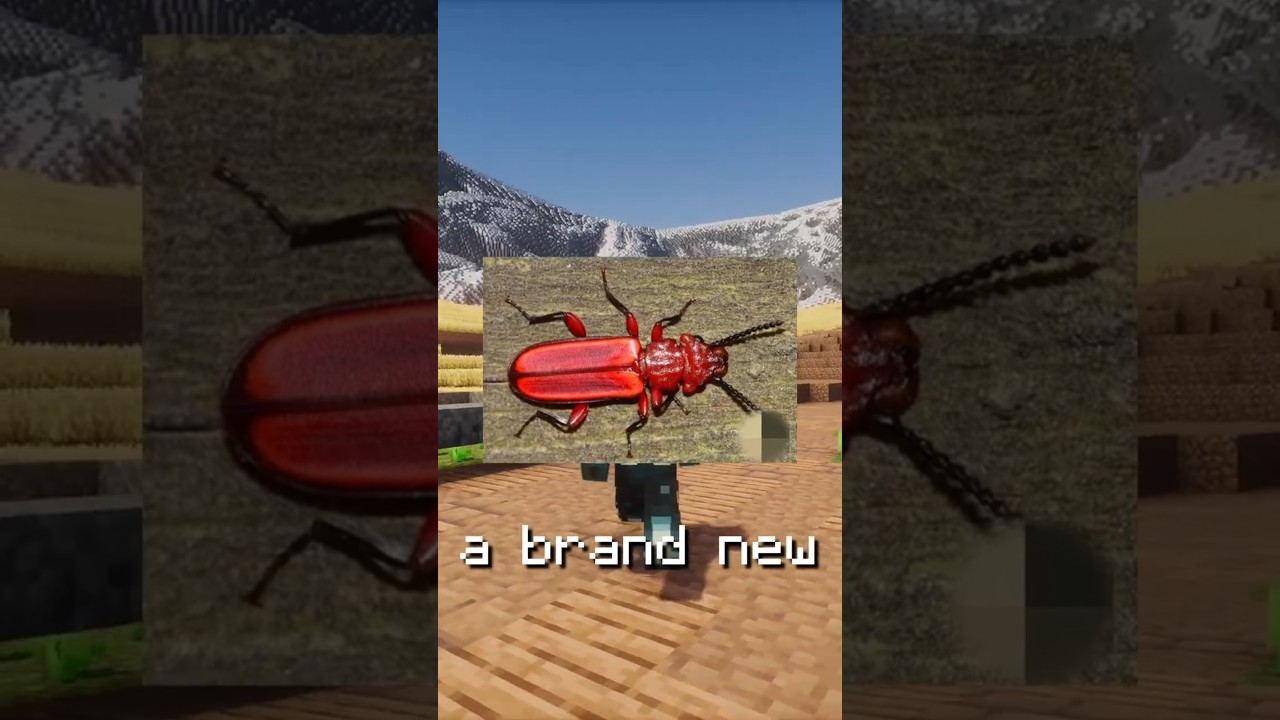 Minecraft Added 27 NEW Blocks!