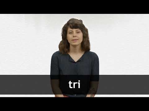 English Translation of “TRI” | Collins French-English Dictionary