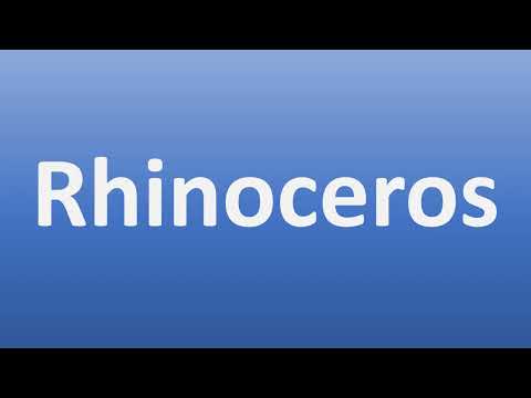 How to Pronounce Rhinoceros