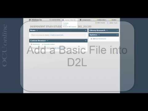Basic File Upload (D2L 10.3)