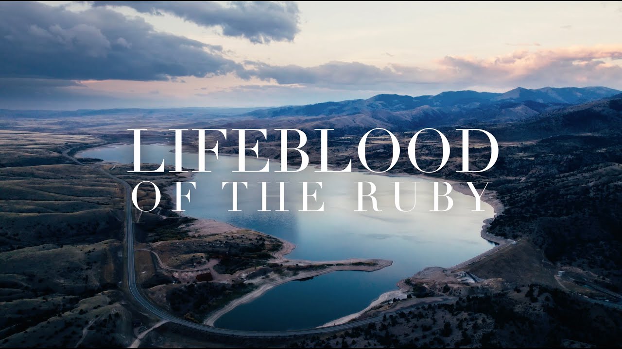 Lifeblood of the Ruby