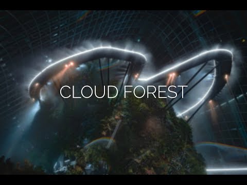 BEAUTIFUL SINGAPORE: Gardens By The Bay- Cloud Forest