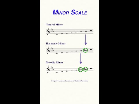 The Three Types of Minor Scales 🎵 #Shorts