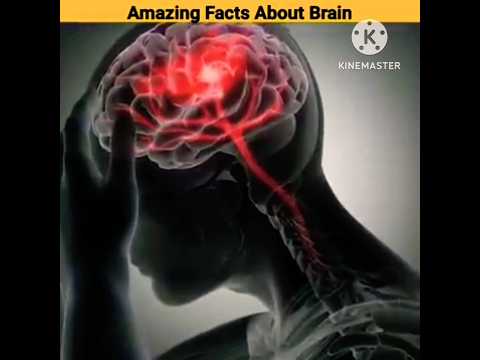 Amazing facts about human brain in bengali#human branain facts #youtube shors#shorts # facts mine