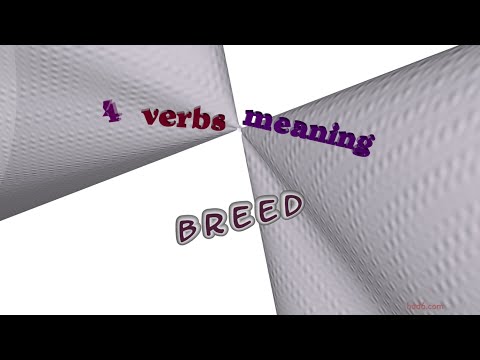 breed - 5 verbs synonym to breed (sentence examples)