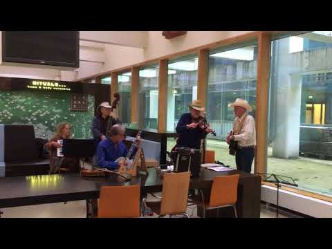 Pietsch 5-string Bluegrass/open back Banjo | Reverb