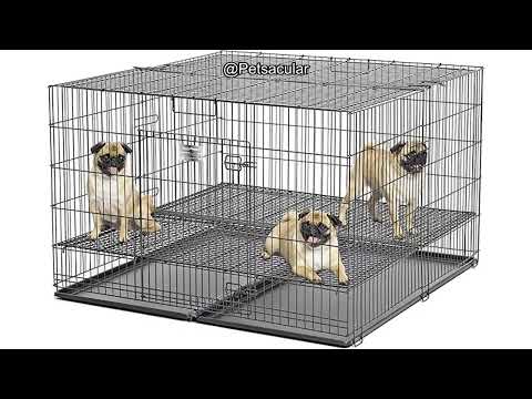 MidWest Homes for Pets Puppy Playpen Crate Review: Is It Worth the Investment?