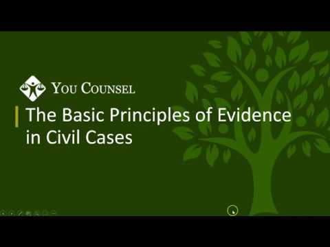 The Basic Principles of Evidence in Civil Cases
