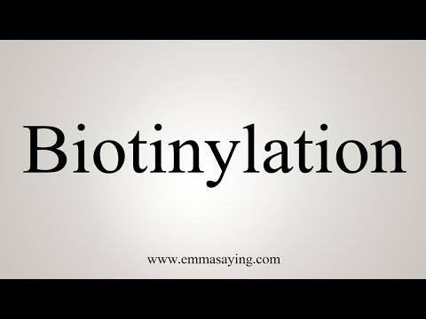 How To Say Biotinylation