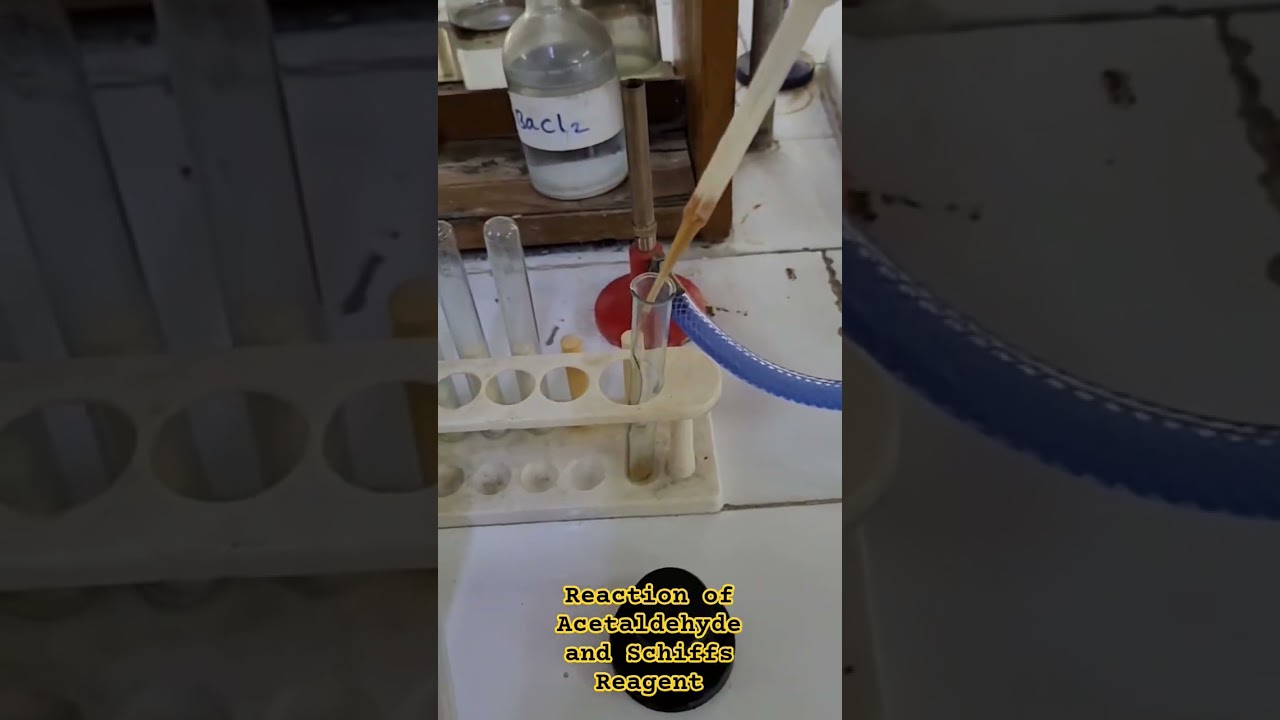 Red precipitate of Acetaldehyde and Schiffs reagent. #redprecipitateofSchiffsbase #schiffsreagent