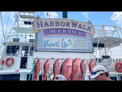 Deep sea fishing trip in Destin Florida on BOW’D UP CHARTER 