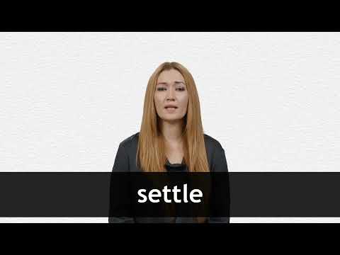 SETTLE 释义 | 柯林斯英语词典