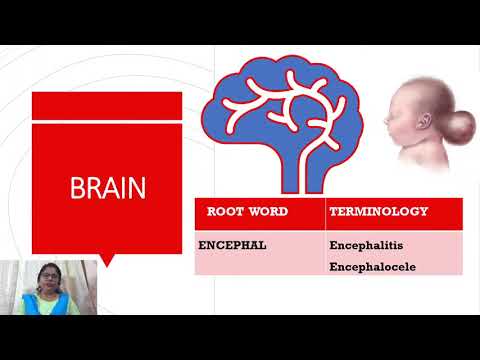 MEDICAL TERMINOLOGY LEARN IN EASY WAY /EC PHARMACOLOGY