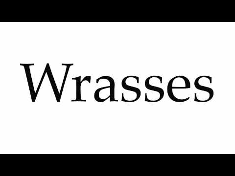 How to Pronounce Wrasses