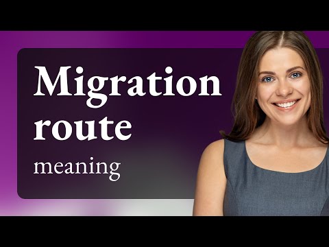 Migration route | definition of MIGRATION ROUTE