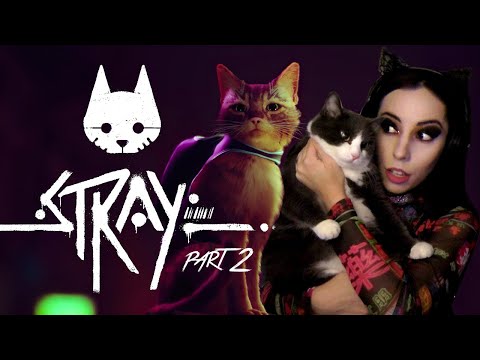 Steam Community :: Stray
