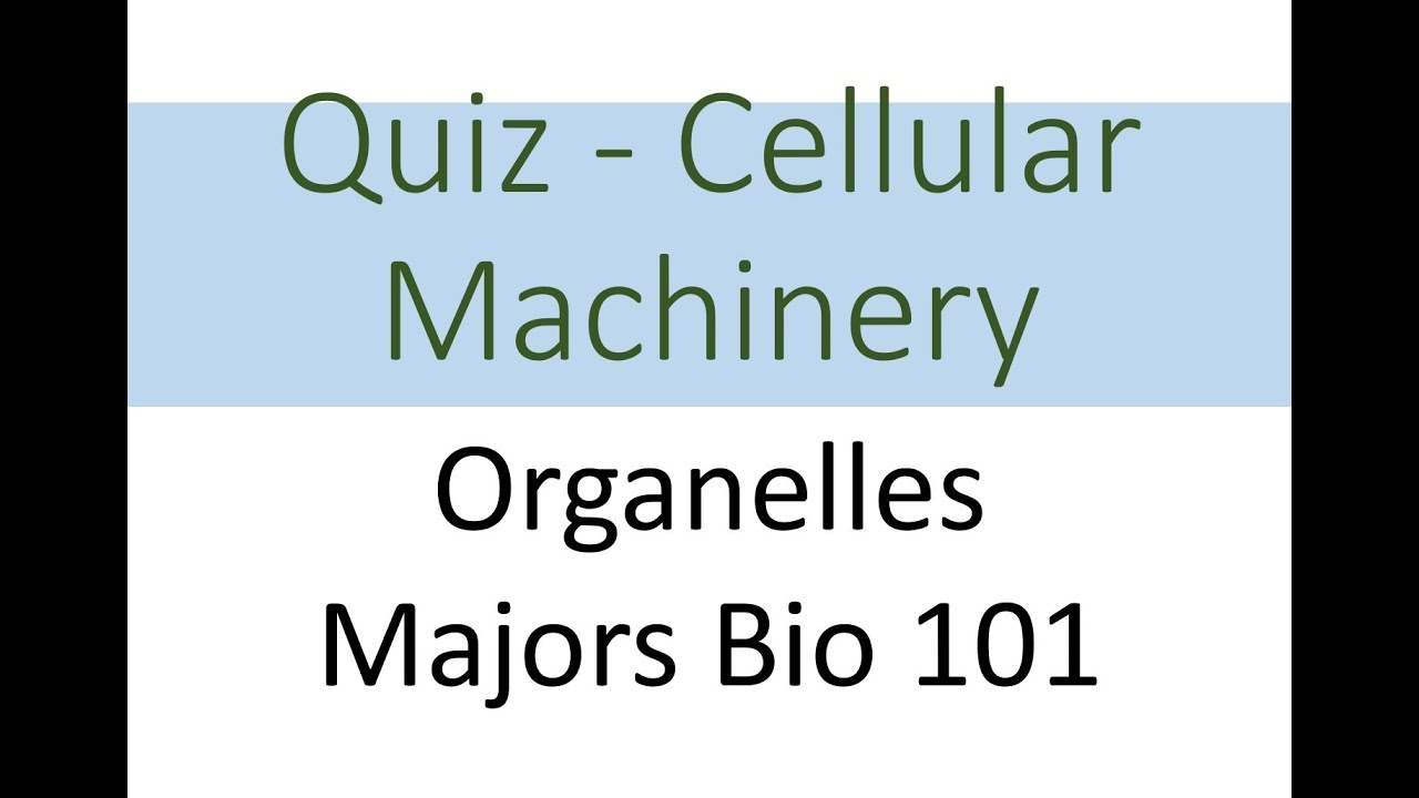 Biology Cell Structure | Biology 101 Cells | Biology 101 Quiz | Biology 101 Test | Biology Major