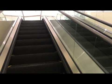 UP ONLY: Otis Rental Car Center Escalators @ El Paso International Airport - El Paso TX
