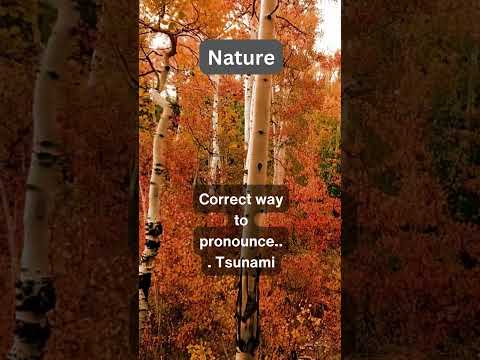 Correct way to pronounce tsunami #pronunciation #tsunami