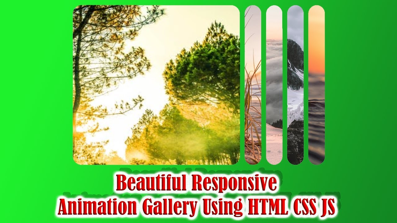 Animation Responsive Gallery using HTML CSS & Javascript