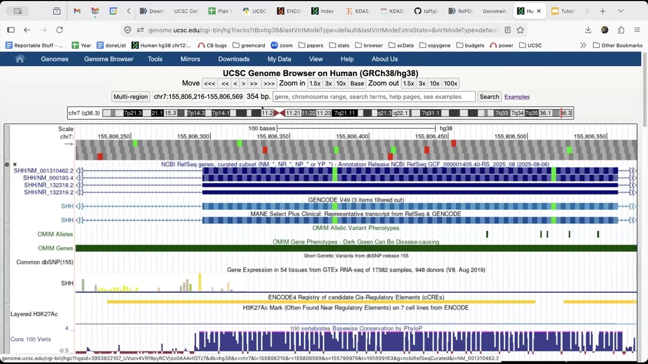 UCSC Genome Browser live demo