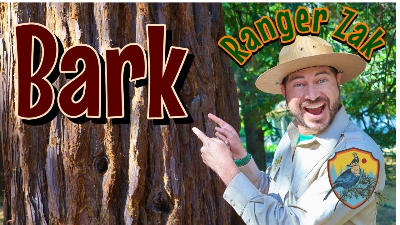 What is Tree Bark? | Nature Education for Kids
