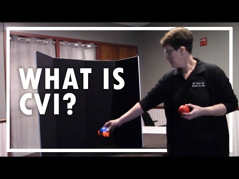 What is CVI? A Primer for Parents & Professionals