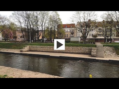 SOSNOWIEC - Mały filmik, duża sprawa
