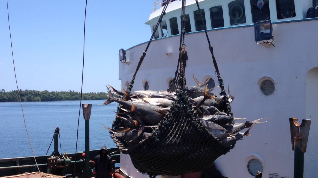 Transhipment​ in between 2 carriers