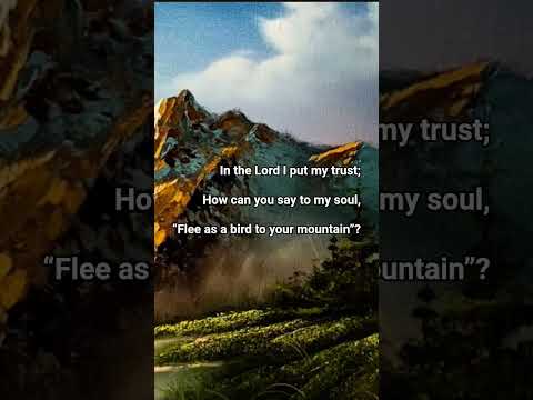 Flee as a Bird: Through the Psalms- Daily Bible Verse