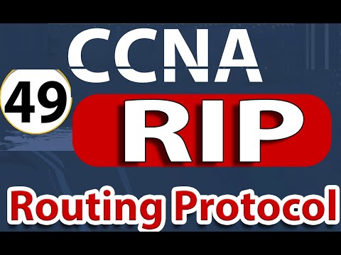 RIP شرح,RIP شرح بروتوكول,RIP Dynamic Routing Protocol_RIP ماهو_RIP protocol شرح