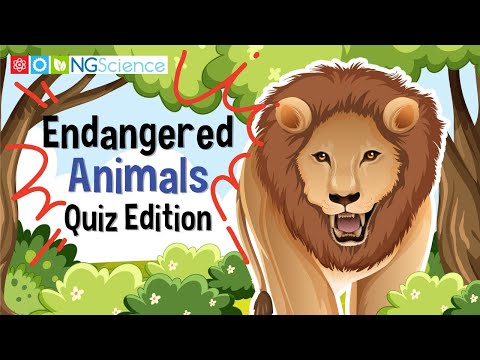 Endangered Animals – Quiz Edition