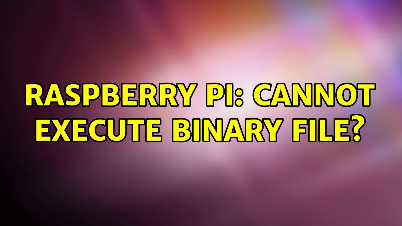 Raspberry Pi: Cannot execute binary file? (2 Solutions!!)