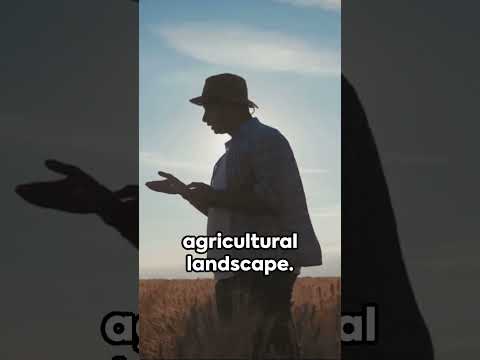 CAP: The Most IMPORTANT Rules for European Farmers