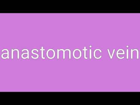 Anastomotic Vein Definition & Meaning