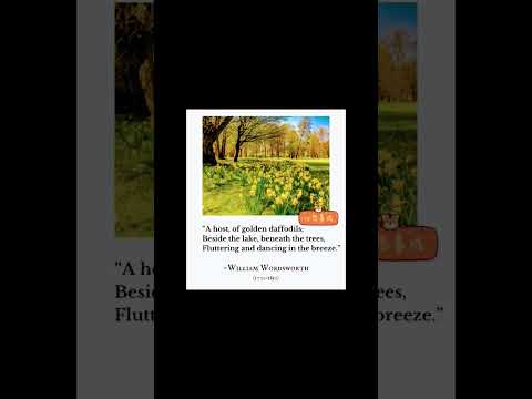 Daffodils by William Wordsworth #poem#daffodils#williamwordsworth #literaturepag
