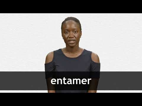 English Translation of “ENTAMER” | Collins French-English Dictionary