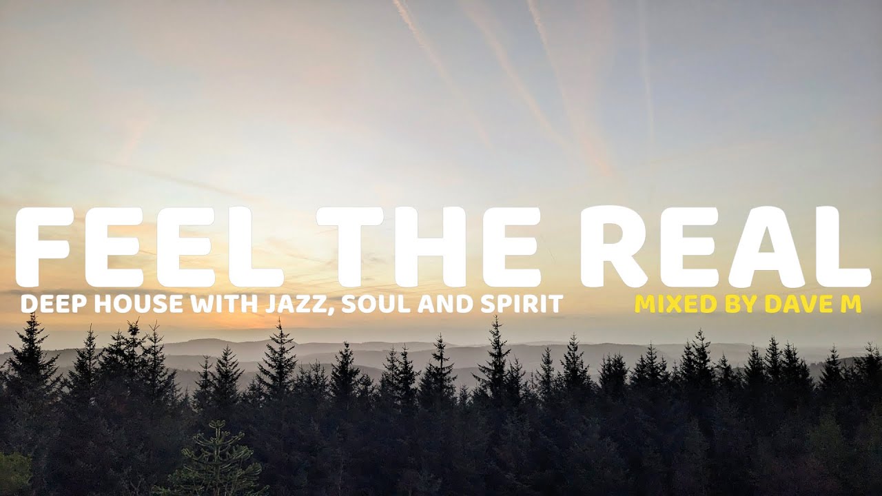 FEEL THE REAL (A Deeper House Mix) by Dave M
