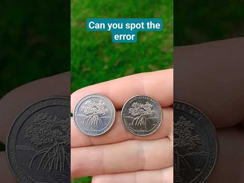 2020 quarter Can you spot the error