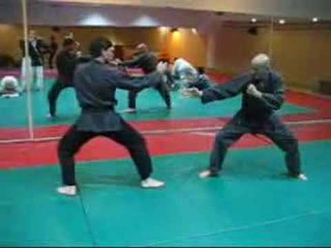 Category:Techniques - Gyokko Ryu | AKBAN Ninjutsu Academy, researching ...