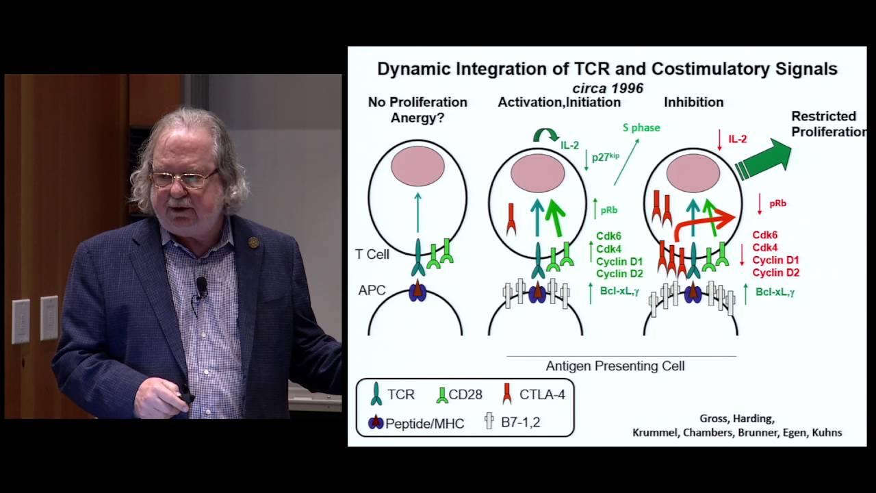 Immune Checkpoint Blockade in Cancer Therapy