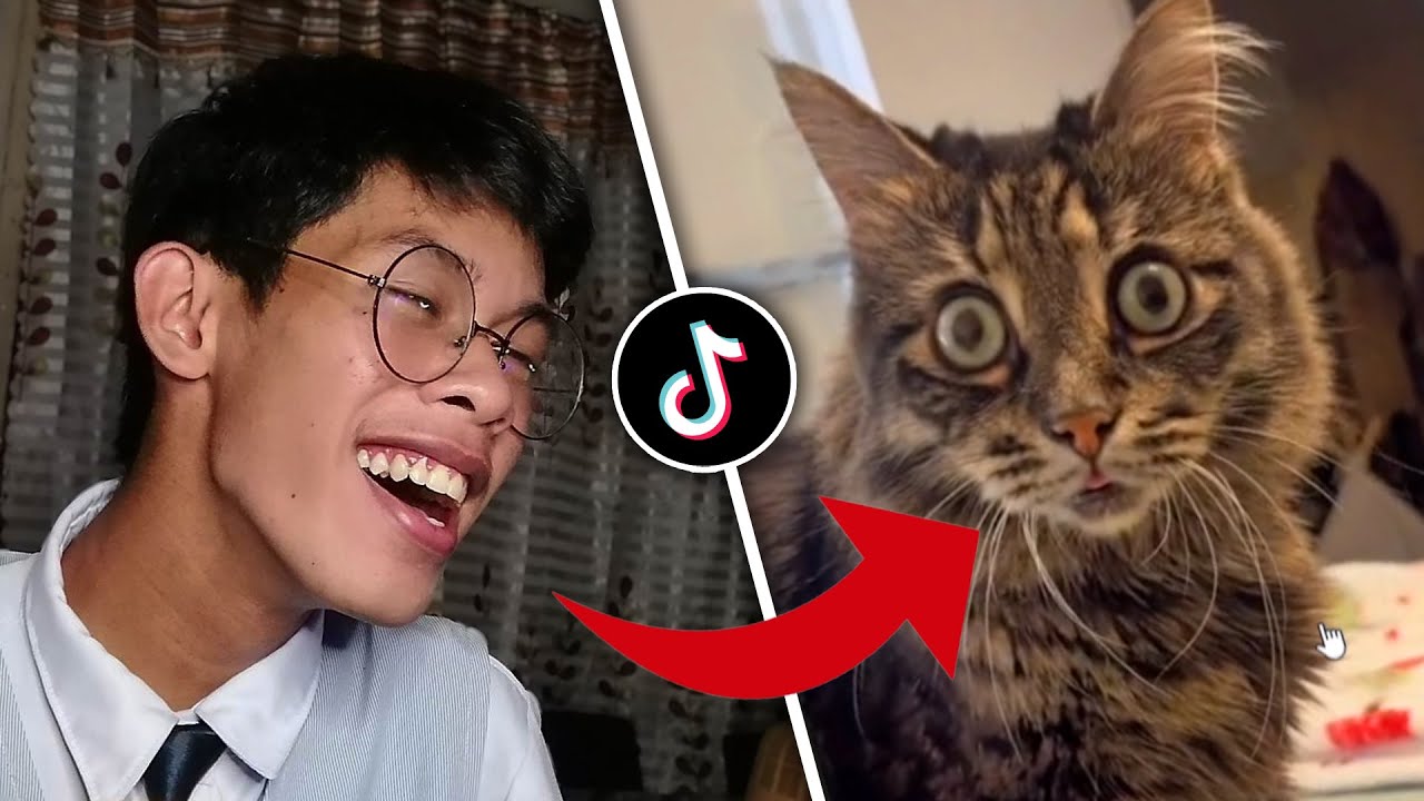TIKTOKS THAT CURED MY SADNESS [TIKTOK #2]