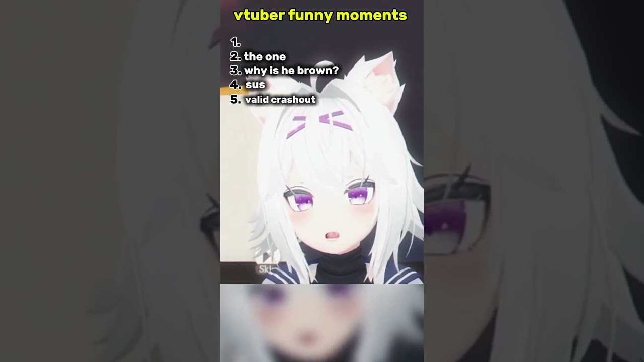 Top 5 FUNNIEST VTuber Moments on the Internet!
