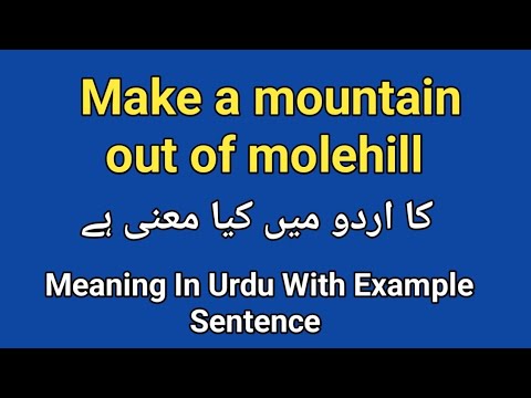 make a mountain out of molehill meaning in urdu/hindi |make a mountain out of molehill in sentence