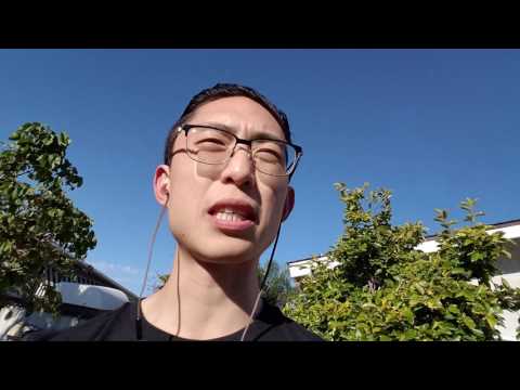 Why I give away all my photos for free.